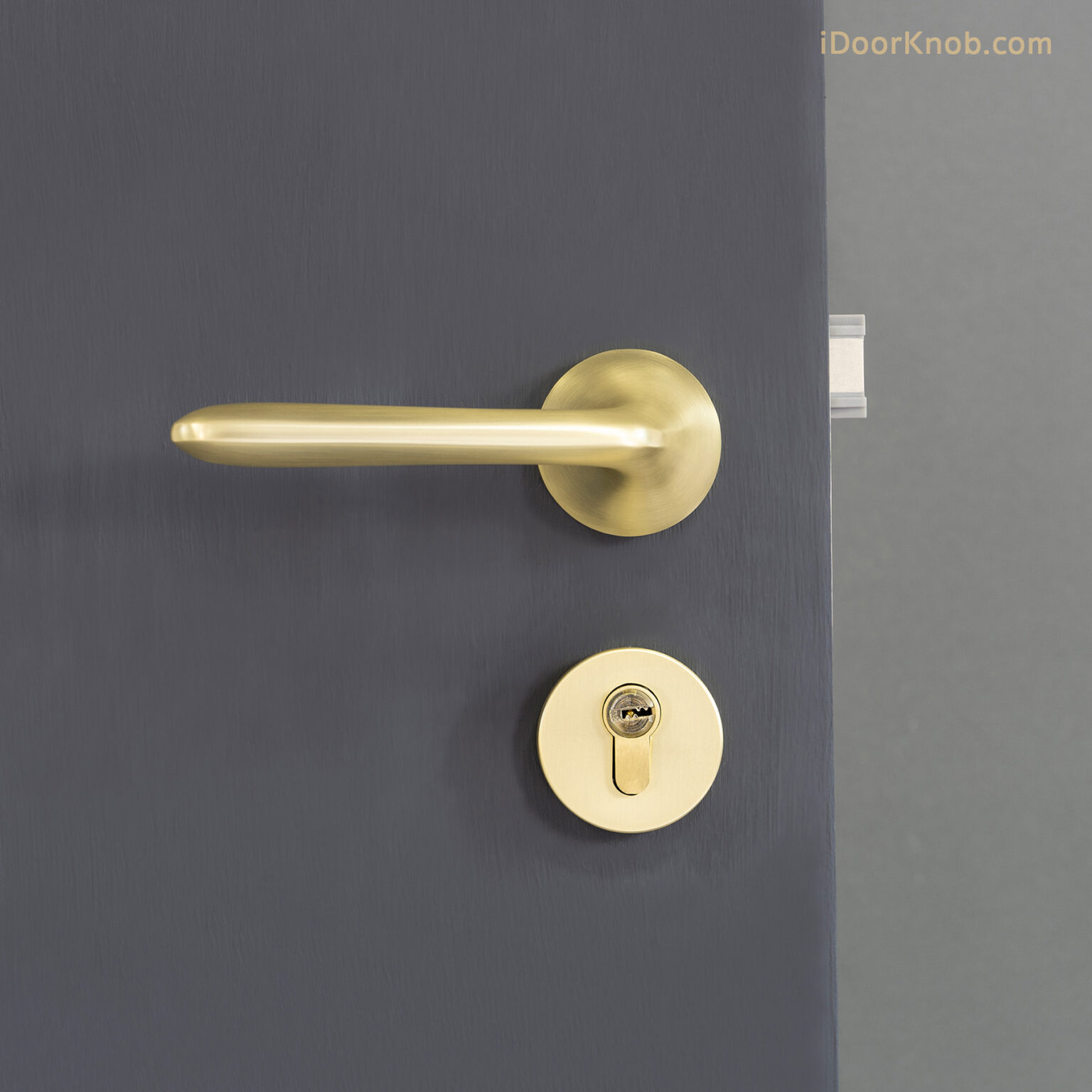 มือจับกก้านโยกประตู มอร์ทิสล็อค สีทองเหลือง Brushed Brass รุ่น AX28